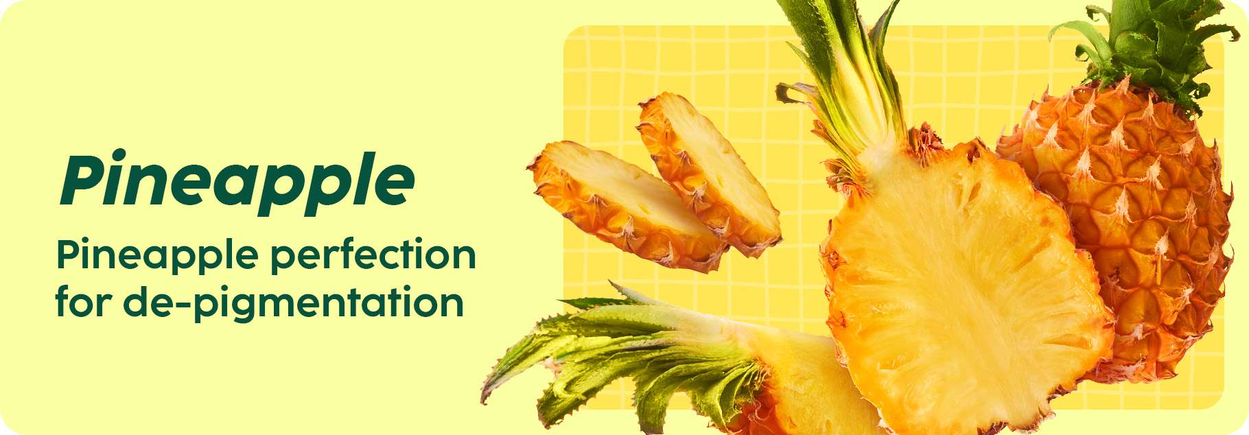 Buy Plant Based Products | Vegan Protein Powders, Tablets & Capsules ...