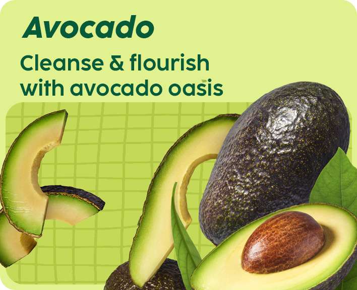 Buy Plant Based Products | Vegan Protein Powders, Tablets & Capsules ...