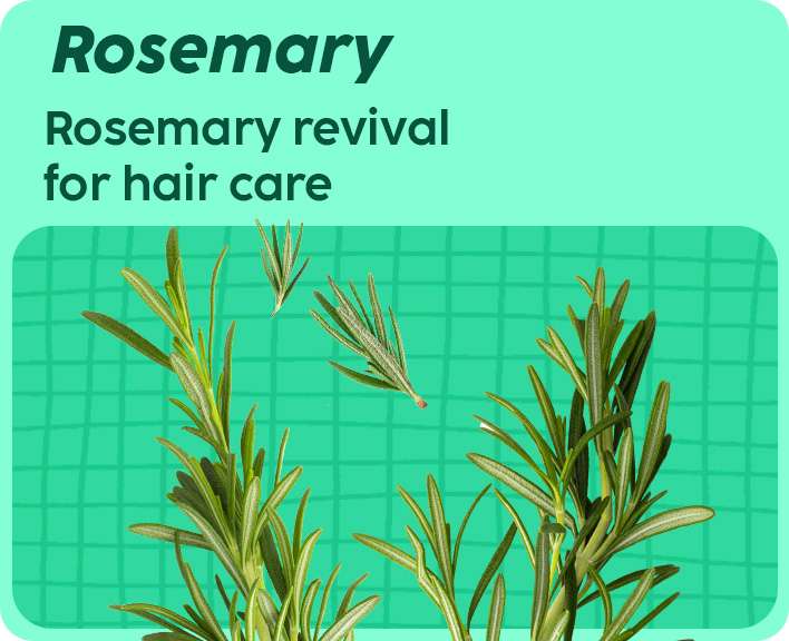 Buy Plant Based Products | Vegan Protein Powders, Tablets & Capsules ...