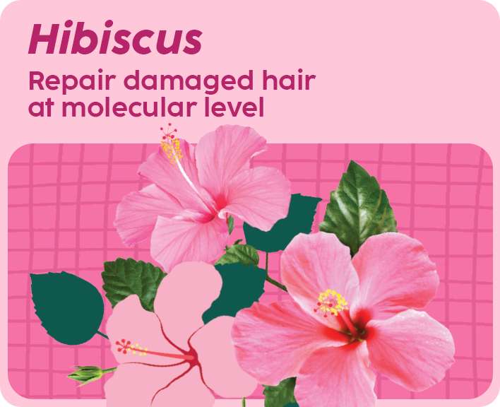 Buy Plant Based Products | Vegan Protein Powders, Tablets & Capsules Online - PlixLife