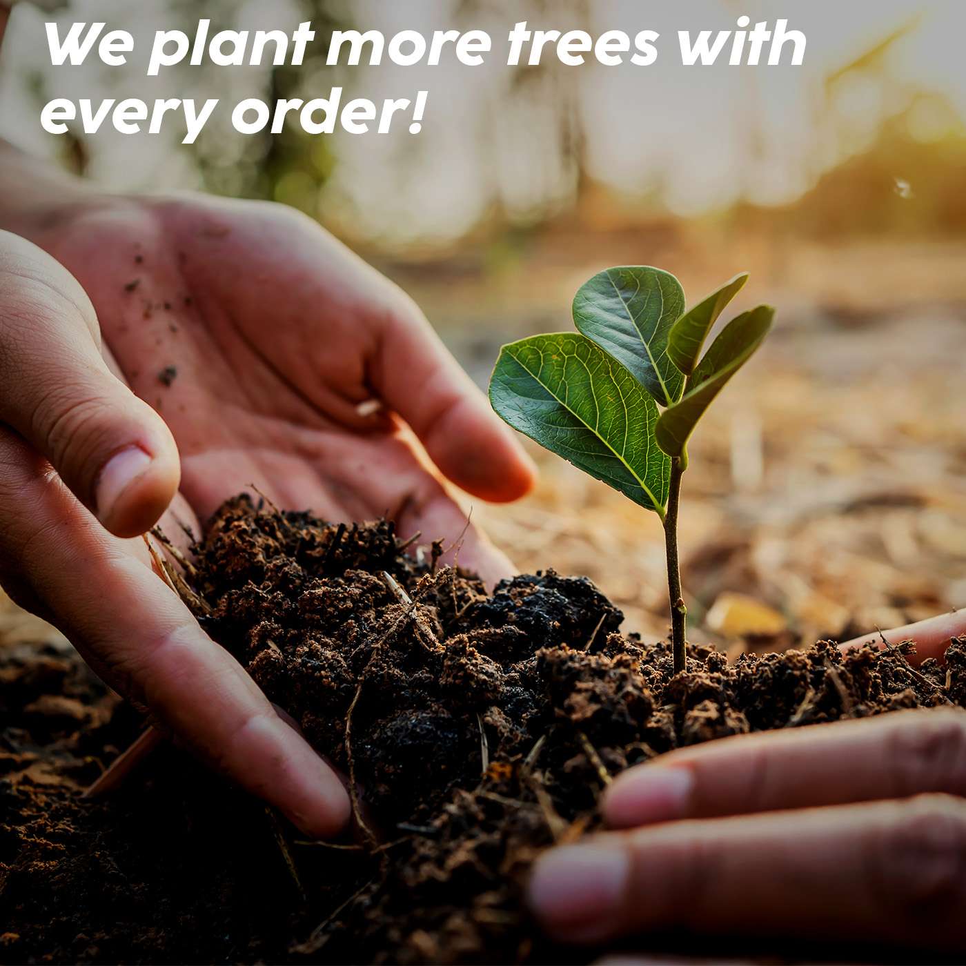 Buy Plix Deep Sleep Melatonin Tablets for Quality & Restful Sleep